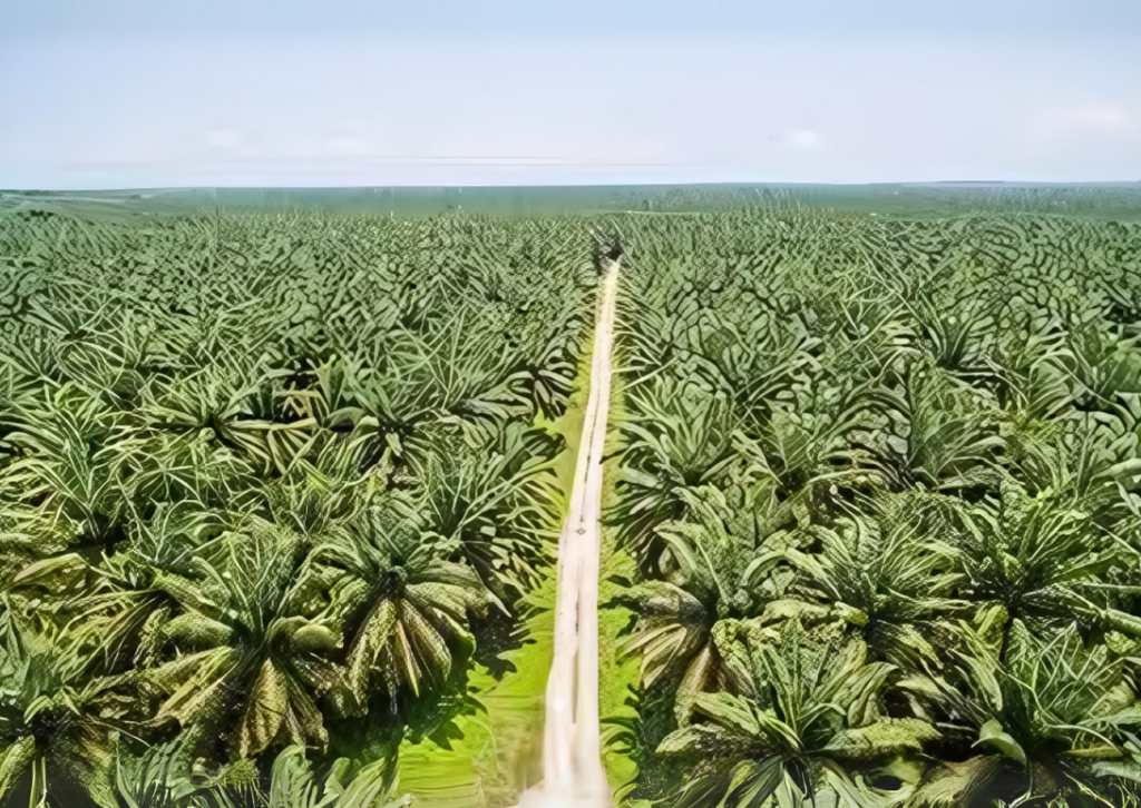 About Us - DroneDoc | Digitizing the built environment